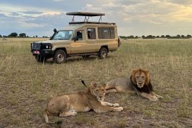 South Sudan, Uganda, Rwanda, Burundi & DRC Congo Safaris
